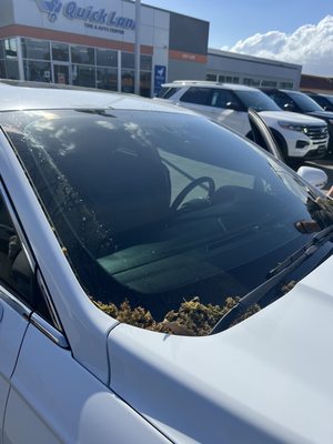 KEN GRODY FORD - Updated August 2025 - 139 Photos & 411 Reviews - 1121 ...