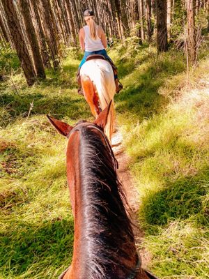 FIVE BROOKS RANCH - Updated August 2024 - 211 Photos & 371 Reviews ...