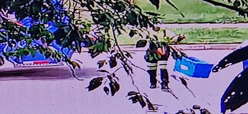 AMERICAN DISPOSAL SERVICES - 66 Photos & 609 Reviews - 10370 Central ...