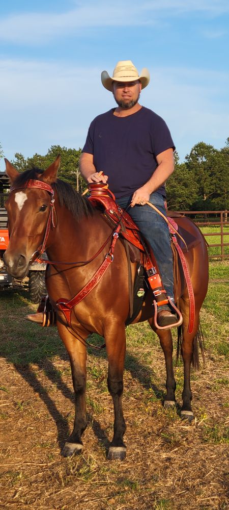 DIAMOND B HORSE RANCH - Updated August 2025 - Request Information ...