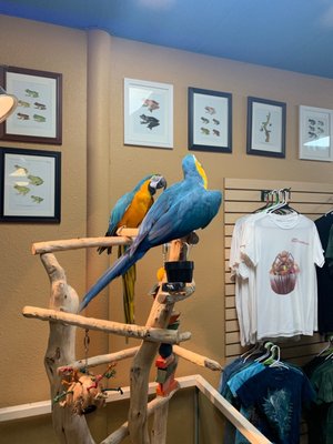 DFW REPTARIUM - 80 Photos & 72 Reviews - 2220 Coit Rd, Plano, Texas ...