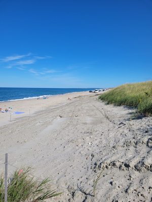 SANDY NECK BEACH PARK - Updated December 2025 - 42 Photos & 41 Reviews ...