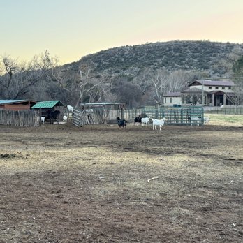 DA RANCH - Updated June 2025 - 289 Photos & 130 Reviews - 1901 N ...