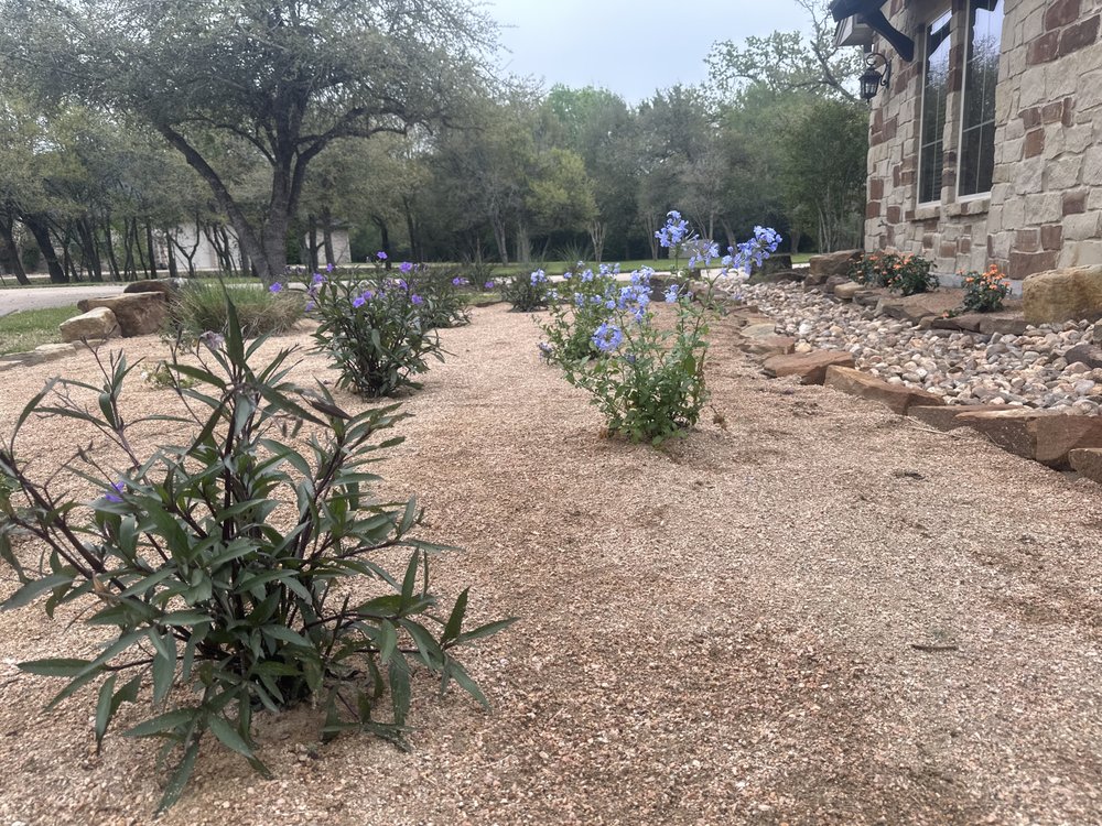 JOSHUA TREE SERVICE - Updated September 2025 - 31 Photos - Bryan, Texas ...