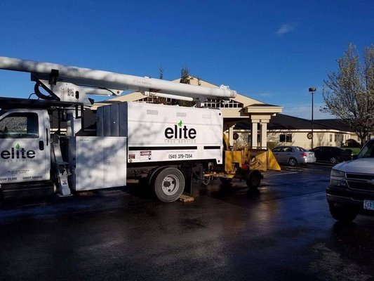 ELITE TREE SERVICE - Updated June 2025 - 16 Photos - 115 NW Boardman ...