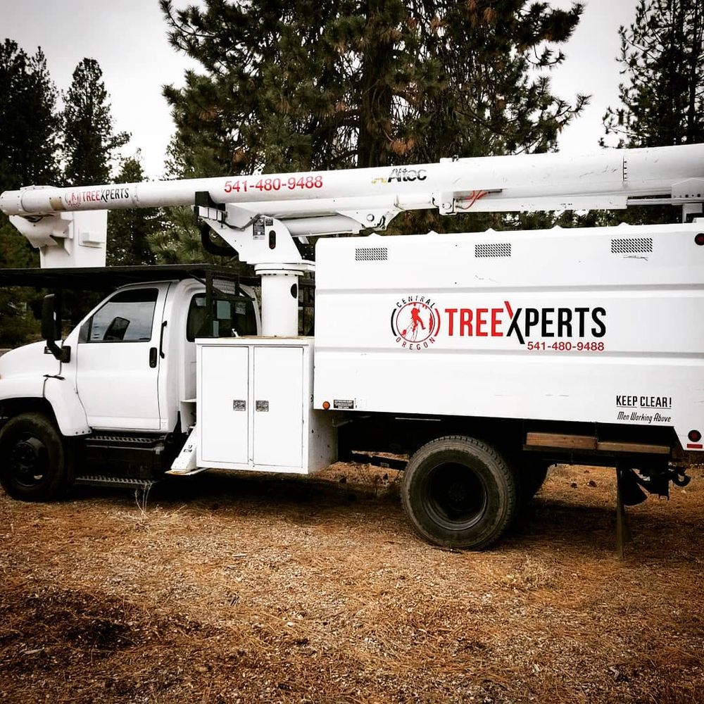 CENTRAL OREGON TREE EXPERTS - Updated October 2025 - 42 Photos & 49 ...