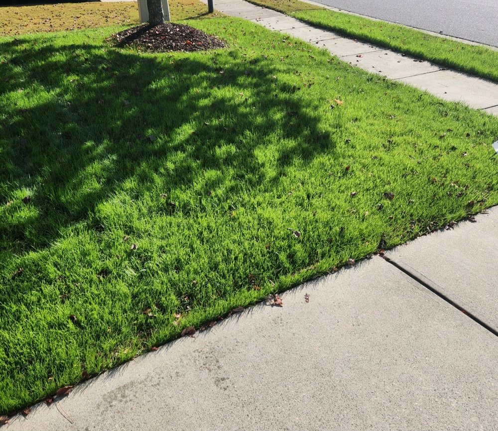 TONY ONEAL LAWN CARE - Request a Quote - Lake Park, North Carolina ...