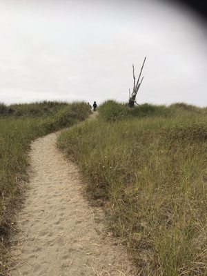 TIDELANDS RESORT - Updated October 2025 - 14 Reviews - 2991 State Route ...