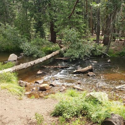 LODGEPOLE CAMPGROUND - Updated July 2025 - 14 Photos - Emigrant Gap ...