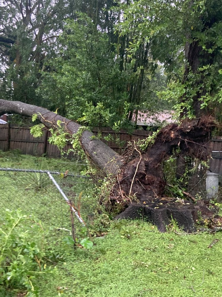 COMPETITIVE TREE SERVICE - Updated October 2025 - 21 Photos & 39 ...