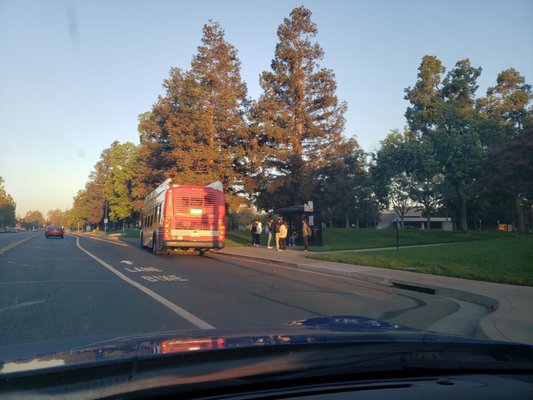 UNITRANS - Updated April 2025 - 29 Photos & 23 Reviews - 1 Shields Ave ...