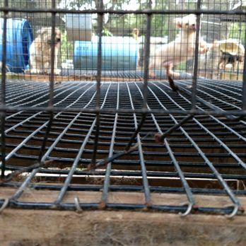 WIRE CLOTH MAN - Updated September 2025 - 7158 123rd Cir, Largo ...