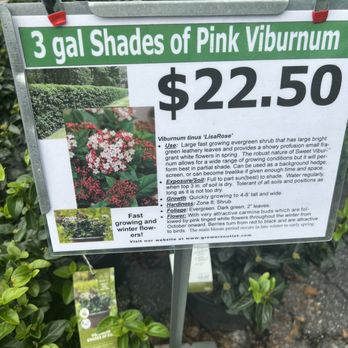 GROWER’S OUTLET - Updated December 2024 - 65 Photos & 87 Reviews - 159 ...