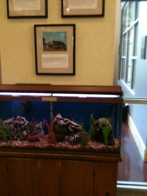 FLOWER MOUND PUBLIC LIBRARY - Updated July 2025 - 25 Photos & 14 ...