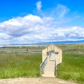 ALVISO MARINA COUNTY PARK - Updated August 2025 - 1708 Photos & 222 ...