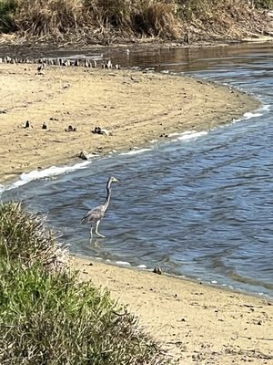 ROCKY POINT GOLF COURSE - 27 Photos & 48 Reviews - 4151 Dana Shores Dr ...