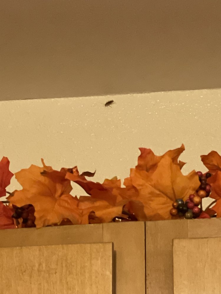 HELIX PROPERTY MANAGEMENT - Updated September 2024 - 24 Photos - 244 ...