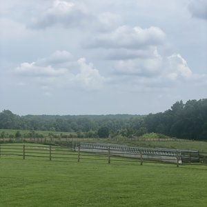 HOWLING COW DAIRY EDUCATION CENTER AND CREAMERY - 163 Photos & 53 ...