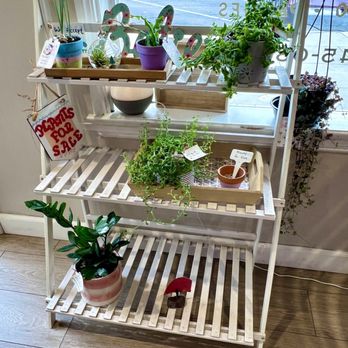 HYPER COFFEE - Updated July 2025 - 514 Photos & 475 Reviews - 203 S 1st ...