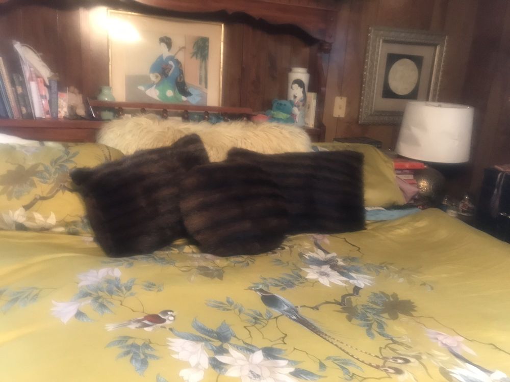 MURRAY’S FUR SHOP - Updated December 2025 - 12 Reviews - 1147 N Main St ...