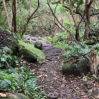 HAU’ULA LOOP TRAIL - Updated December 2025 - 152 Photos & 24 Reviews ...