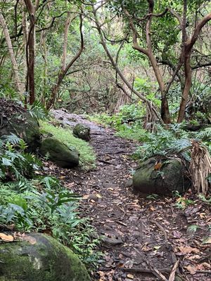 HAU’ULA LOOP TRAIL - Updated December 2025 - 152 Photos & 24 Reviews ...