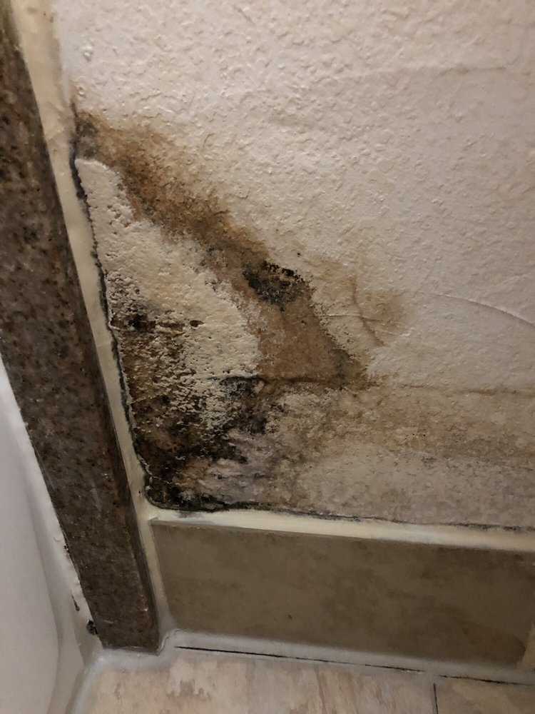 RODEWAY INN & SUITES FORT JACKSON - 34 Photos & 10 Reviews - 494 North ...