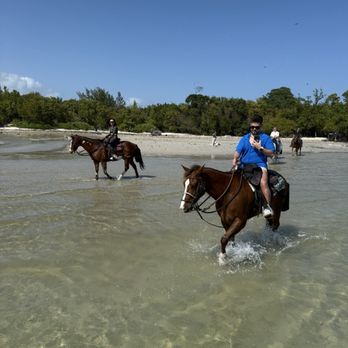 PALOMINO RANCH & TOURS - Updated January 2026 - 48 Photos & 19 Reviews ...