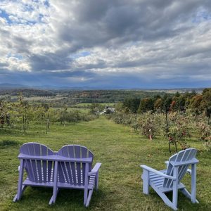 CHAMPLAIN ORCHARDS - Updated December 2025 - 94 Photos & 13 Reviews - 3597 VT Rte 74 W, Shoreham ...