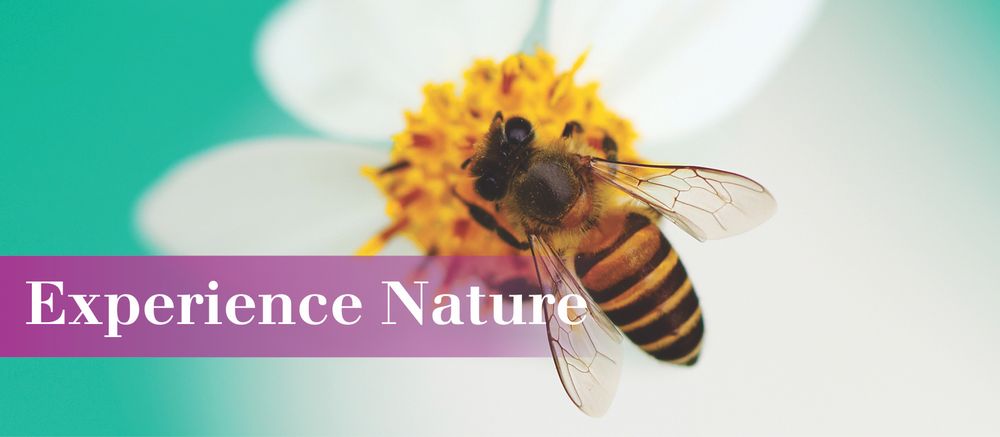 DOUGLAS NEELD, MD - 8012 East 10th St, Indianapolis, IN - Yelp