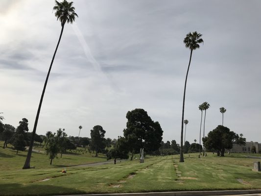 INGLEWOOD PARK CEMETERY - Updated June 2024 - 139 Photos & 81 Reviews ...