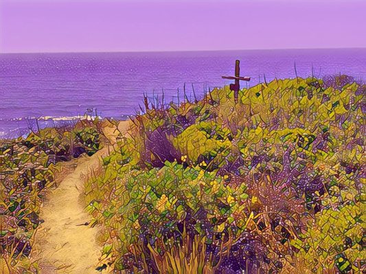POMPONIO STATE BEACH - Updated January 2026 - 157 Photos & 49 Reviews ...