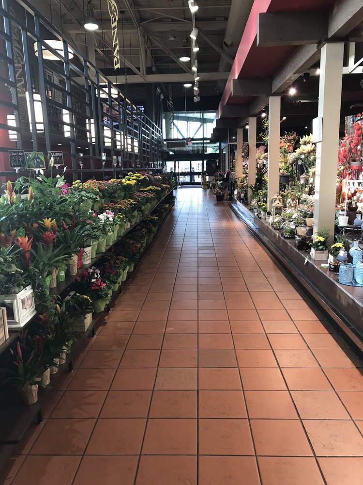 Fortinos Flowers Maple | Best Flower Site