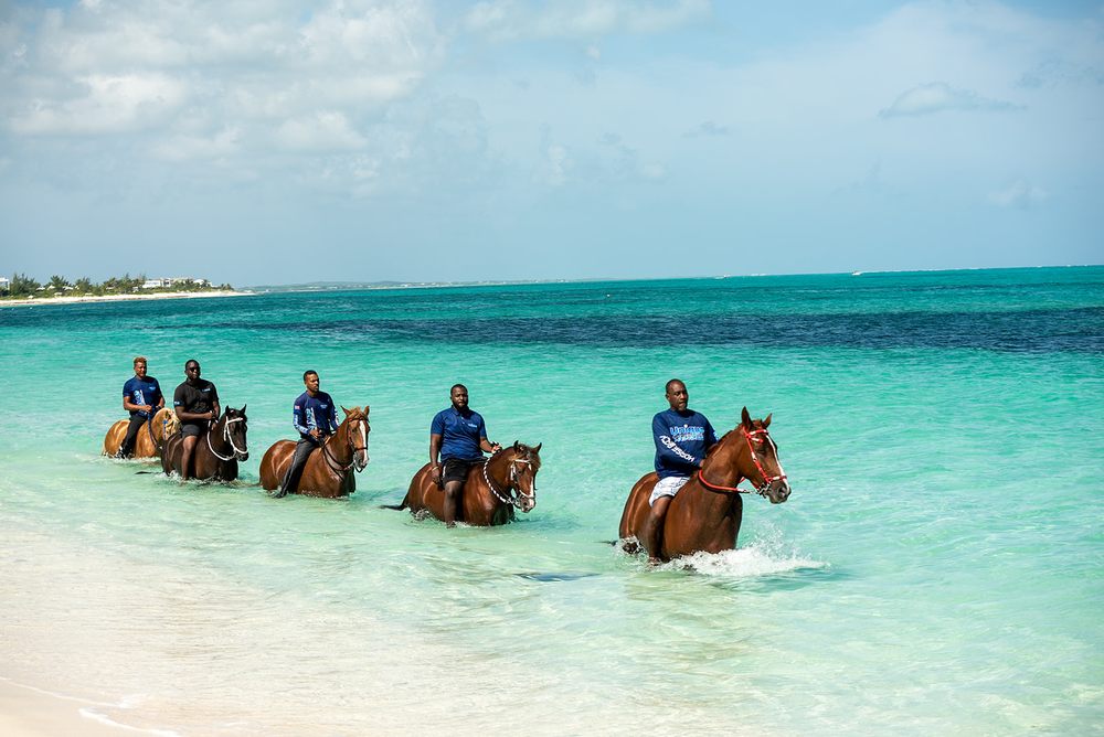 UNIQUE TOURS & RENTALS - Updated September 2025 - Fort Lauderdale ...