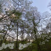 BEAVER BROOK RESERVATION - 59 Photos & 46 Reviews - Landmarks ...