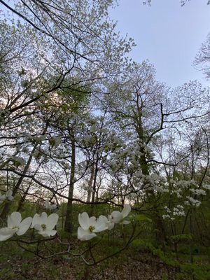 BEAVER BROOK RESERVATION - Updated December 2025 - 59 Photos & 47 ...