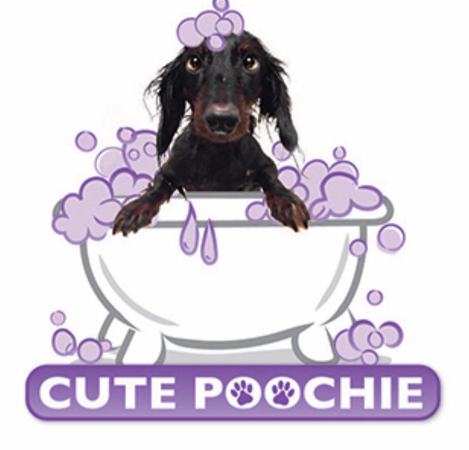 CUTE POOCHIE - Updated December 2024 - 360 S Maple Ave, Glen Rock, New ...