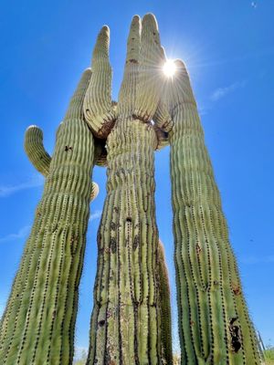 WHITE TANK LIBRARY - Updated December 2025 - 104 Photos & 43 Reviews ...