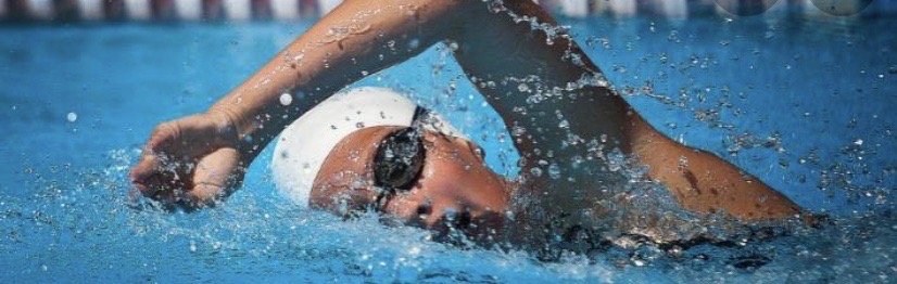 SWIM WITH ELLY - Updated July 2025 - 34 Photos - Solana Beach ...