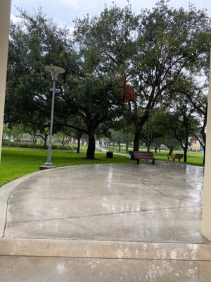 FIU GREEN LIBRARY - Updated June 2025 - 47 Photos & 34 Reviews - 11200 ...