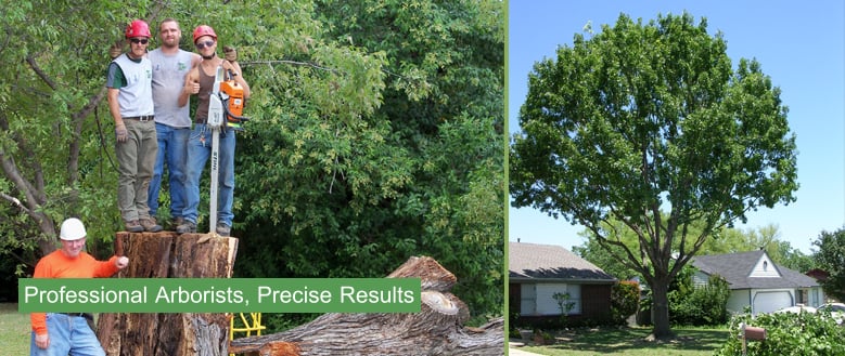 WHITE ROCK TREE WIZARDS - Updated December 2025 - 20 Photos & 13 ...