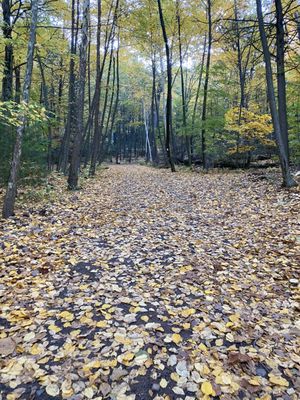 CASE MOUNTAIN - Updated December 2025 - 75 Photos & 31 Reviews ...