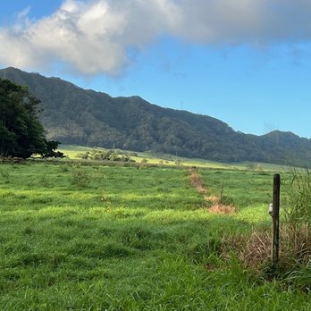 KIPU RANCH ADVENTURES - Updated September 2025 - 1840 Photos & 1606 ...