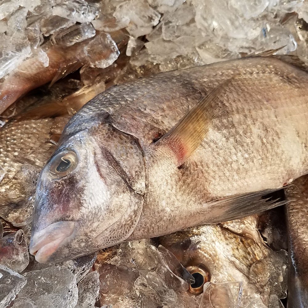 WORLD FISH MARKET - Updated December 2025 - 10 Reviews - 1023 Blue ...