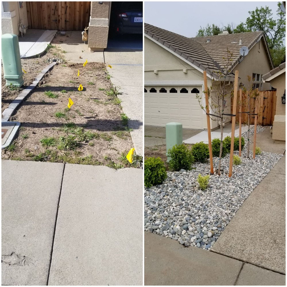 TD PROFESSIONAL LANDSCAPING - Updated June 2025 - 10 Photos & 11 ...