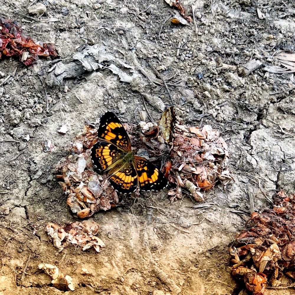 CAPERTON SWAMP - Updated April 2025 - 18 Photos - 3916 River Rd ...