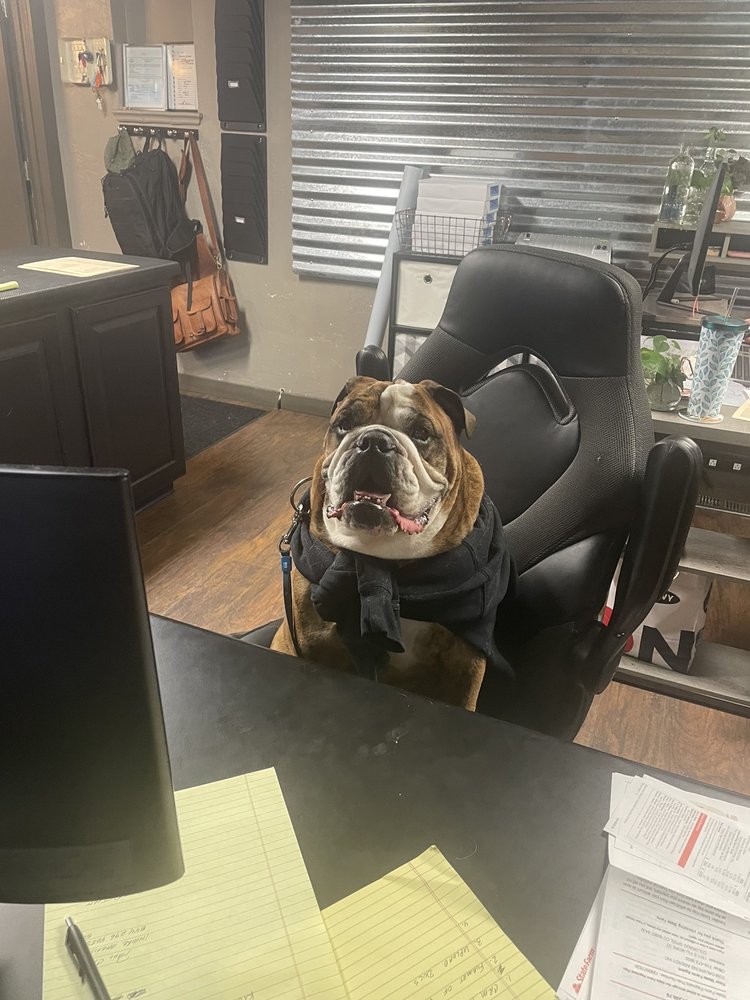 THE DING GUY - Updated September 2024 - 42 Photos & 37 Reviews - 3001 E ...