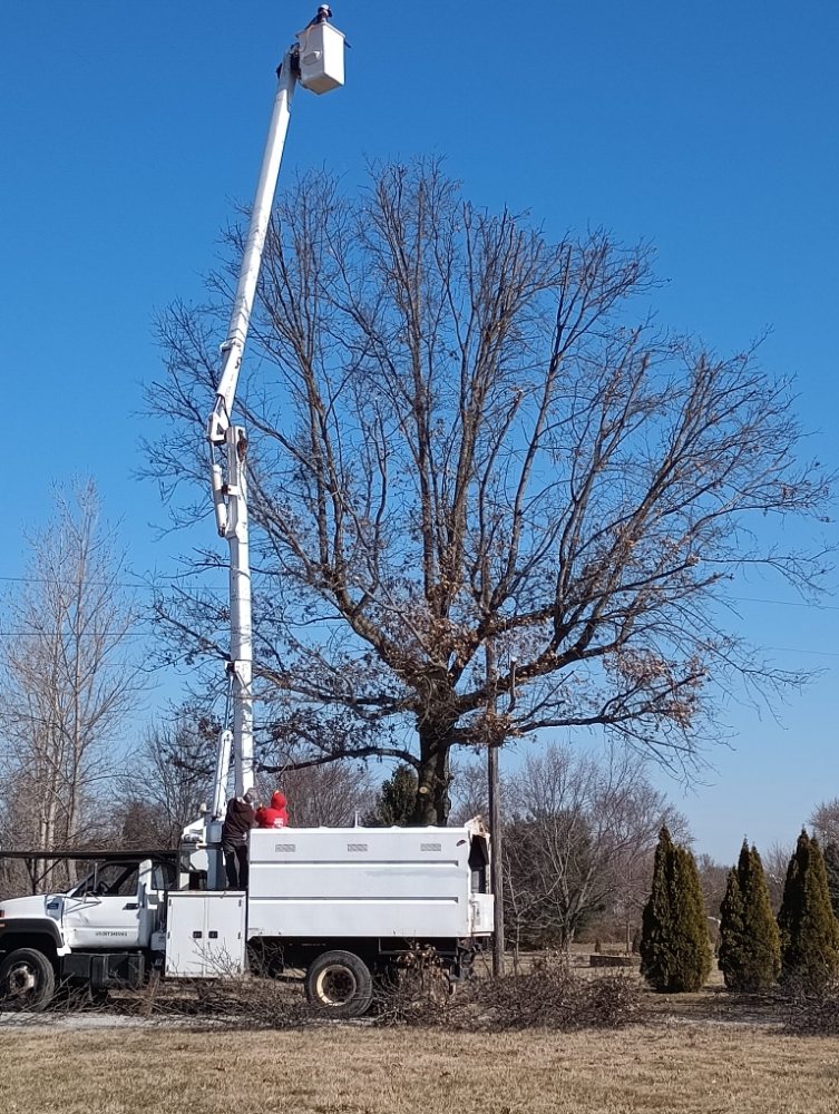 ANYTOWN TREE SERVICE - Updated October 2024 - 31 Photos - Indianapolis ...