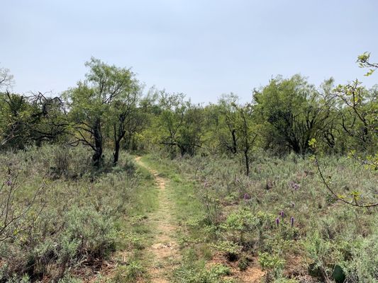 LAKE BROWNWOOD STATE PARK - Updated September 2024 - 66 Photos & 15 ...