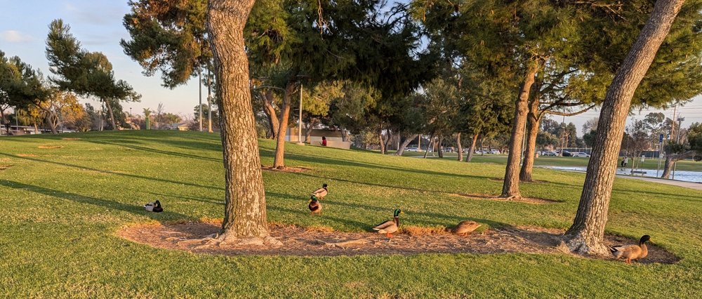 DON KNABE COMMUNITY REGIONAL PARK - Updated July 2025 - 787 Photos ...